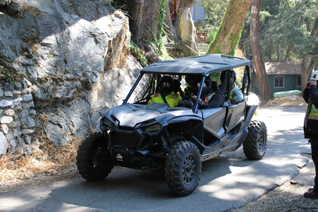 Reduce Tree Height Safely: Local Expert Tips